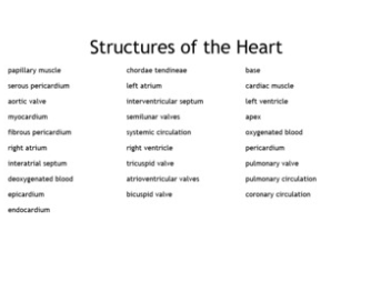 "Structures of the Heart" Bingo set for an Anatomy of Physiology Course ...