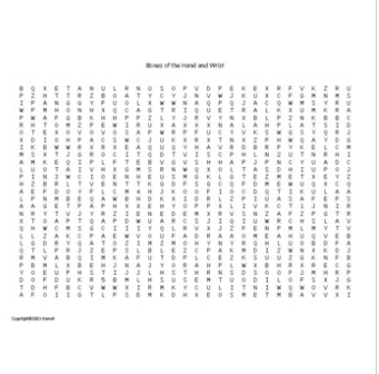The Bones of the Hand and Wrist Vocabulary Word Search for Anatomy ...