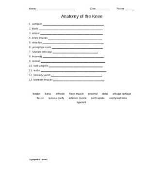 Anatomy of the Knee Vocabulary Word Scramble for Anatomy or Physiology ...
