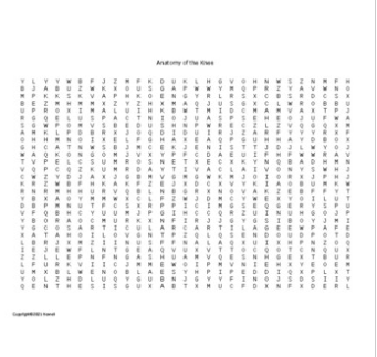 The Anatomy of the Knee Vocabulary Word Search for Anatomy Students ...
