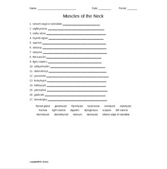 Muscles of the Neck Vocabulary Word Scramble for Anatomy or Physiology ...