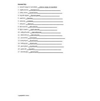 Muscles of the Neck Vocabulary Word Scramble for Anatomy or Physiology ...