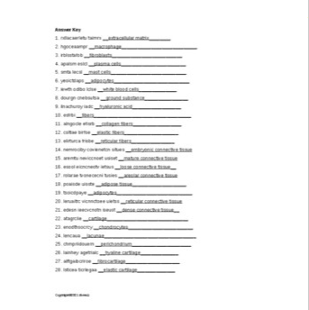 Connective Tissue Vocabulary Word Scramble for Anatomy or Physiology ...
