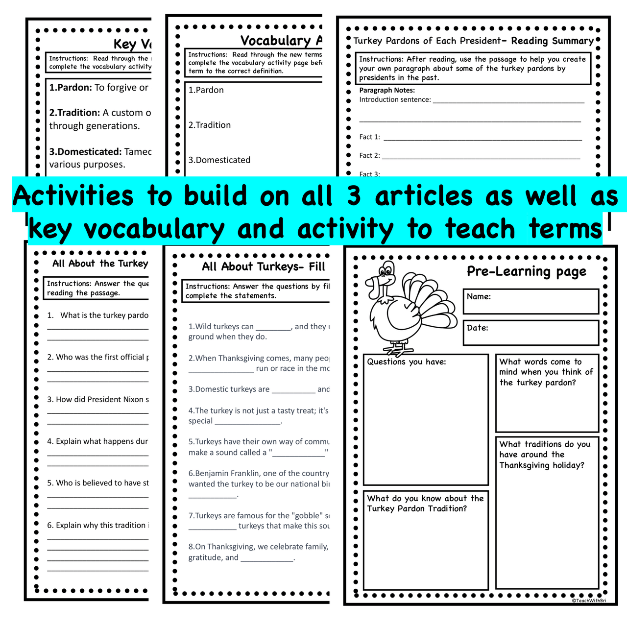 Turkey Pardon Reading Comprehension Pack