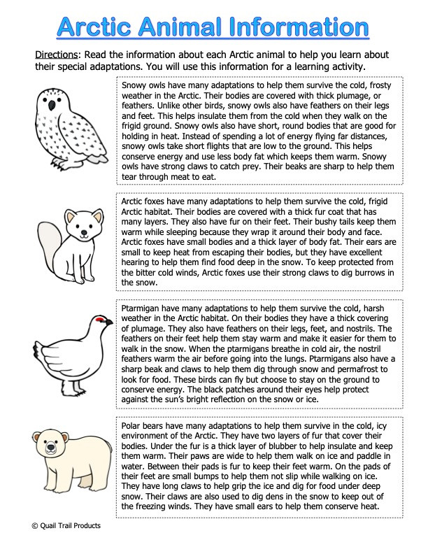 Animal Adaptations in the Arctic Habitat Worksheets and Activities