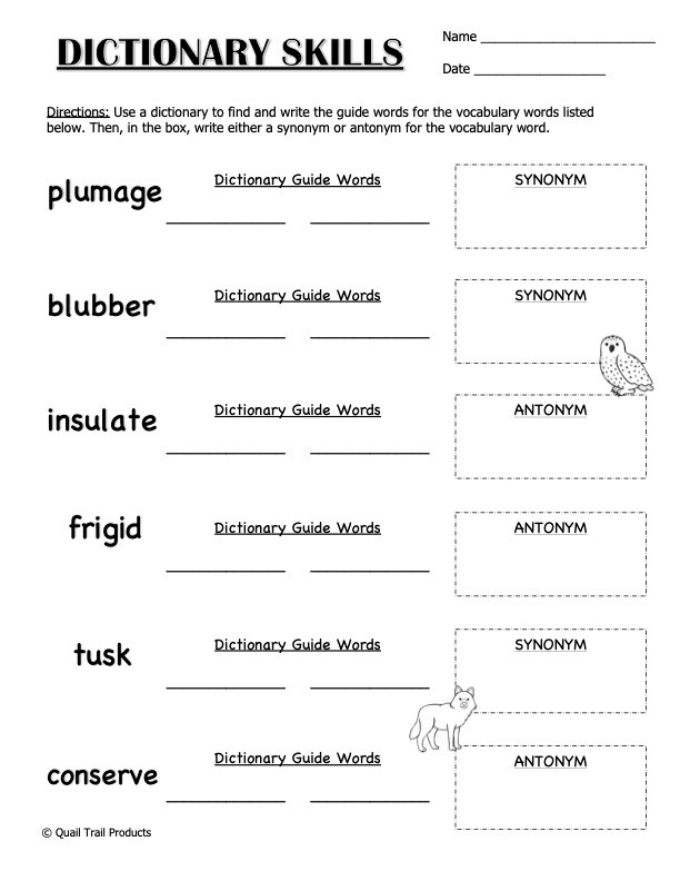 Animal Adaptations in the Arctic Habitat Worksheets and Activities