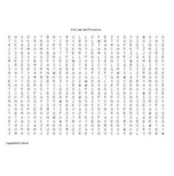 "Civil Law and Procedure" Vocabulary Word Search for a Business Law ...