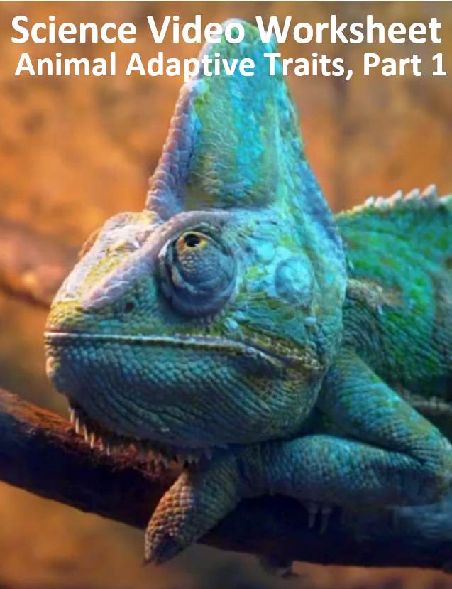 Intro to Animal Adaptive Traits, part 1. Video sheet, Canvas, Easel ...