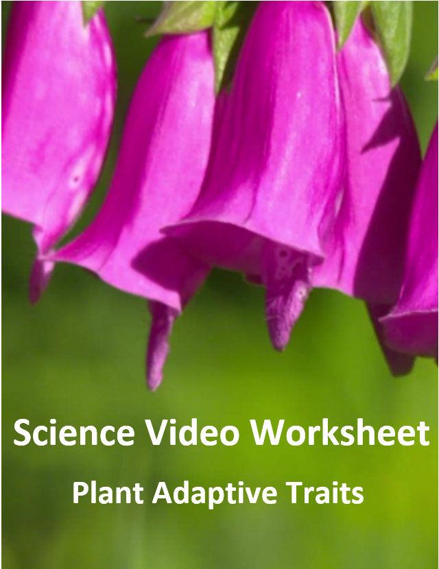 Intro to Plant Adaptive Traits. Video sheet, Canvas, Easel & More (V3)