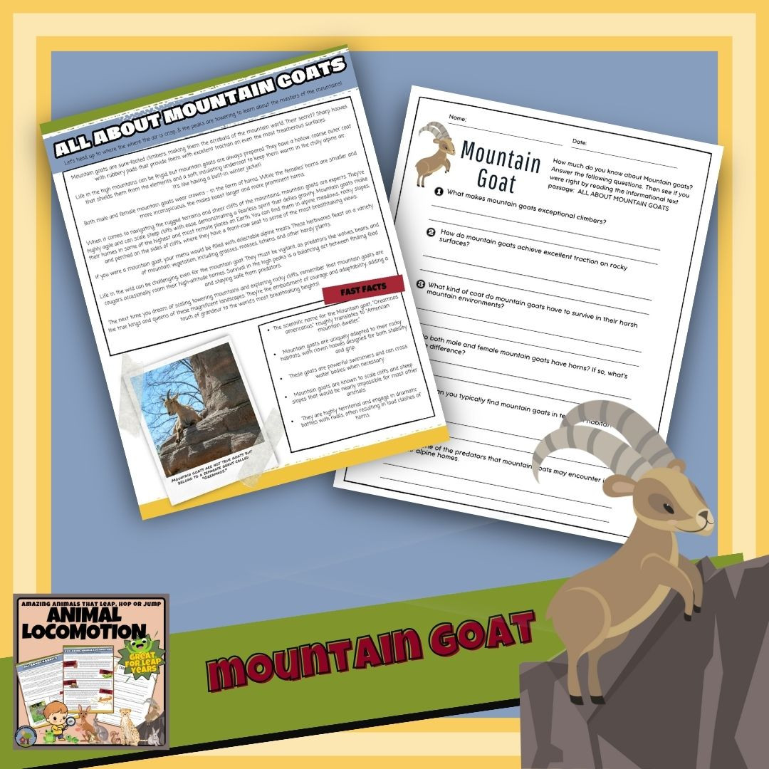 Leap Year Activity Bundle - Amped Up Learning