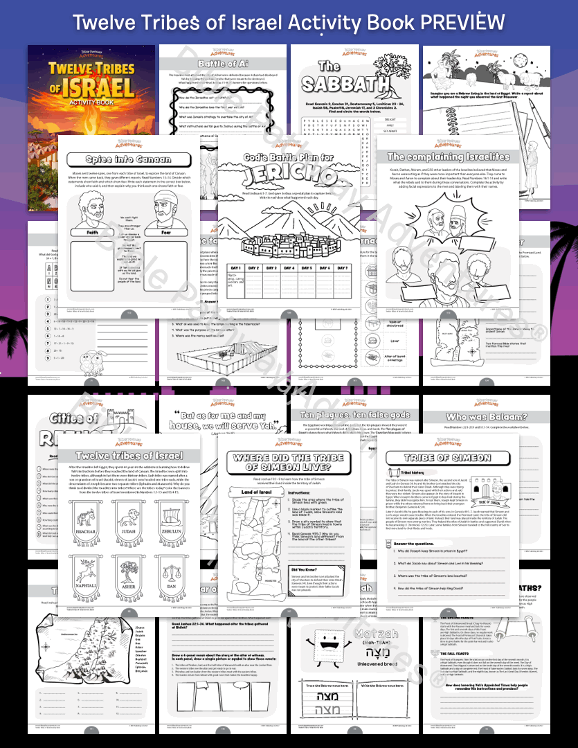 Twelve Tribes of Israel Activity Book for Beginners