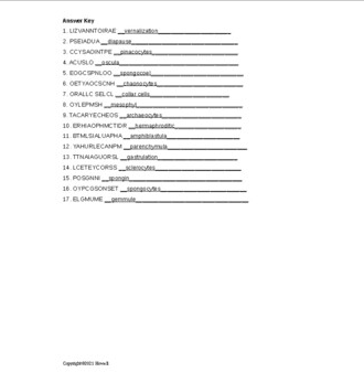 Poriferans Word Scramble for Invertebrate Biology - Amped Up Learning