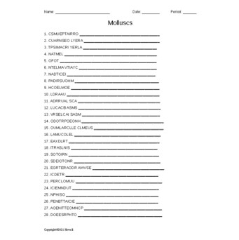 Molluscs Word Scramble for Invertebrate Biology - Amped Up Learning