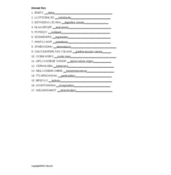The Ctenophores Word Scramble for Invertebrate Biology - Amped Up Learning