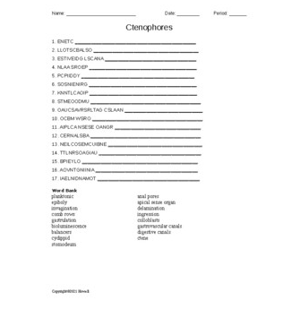 The Ctenophores Word Scramble for Invertebrate Biology - Amped Up Learning
