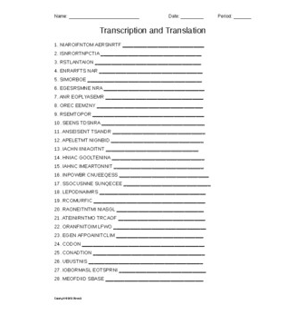 Transcription and Translation Word Scramble for Genetics - Amped Up ...