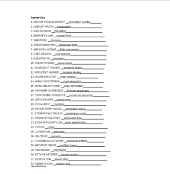 Transcription and Translation Word Scramble for Genetics - Amped Up ...