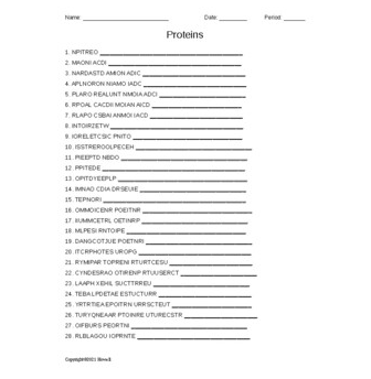Proteins Word Scramble for Biological Chemistry - Amped Up Learning