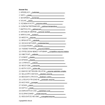Enzymes and Vitamins Word Scramble for Biological Chemistry - Amped Up ...