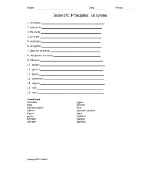 Scientific Principles and Enzymes Word Scramble - Amped Up Learning