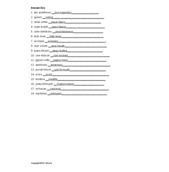 Sheep Abnormalities Word Scramble - Amped Up Learning
