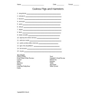 Guinea Pigs and Hamsters Word Scramble - Amped Up Learning