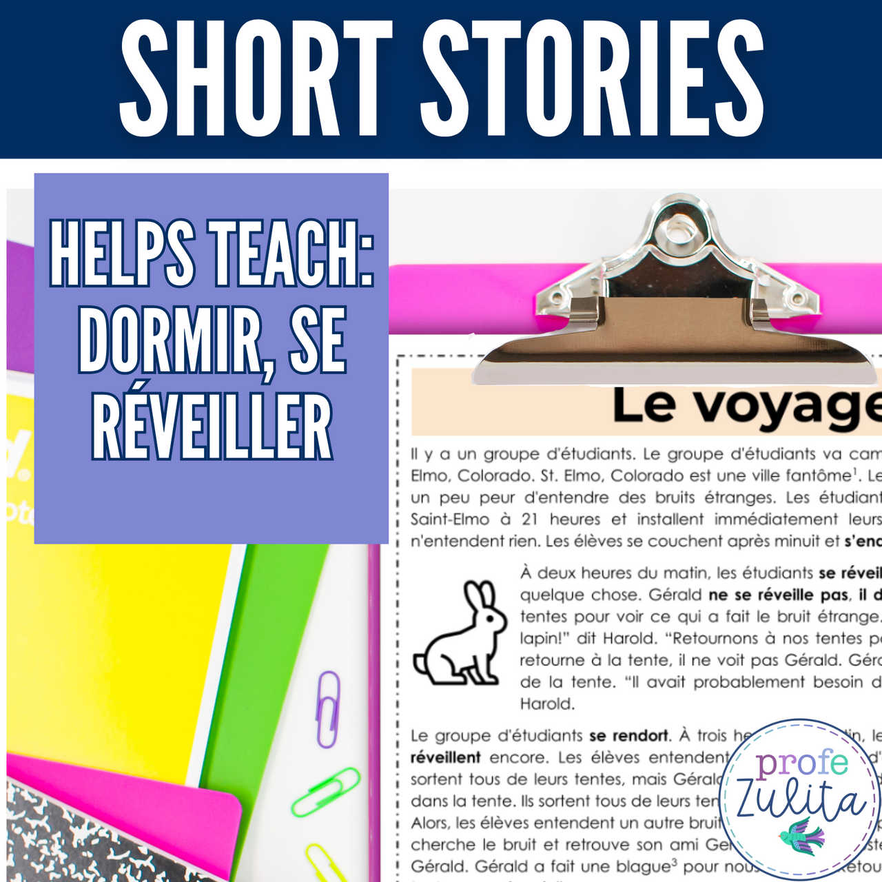 French Unit 25 - dormir, se réveiller French Reading Comprehension ...