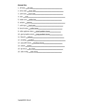Horse Hoof Care Word Scramble - Amped Up Learning