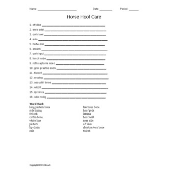 Horse Hoof Care Word Scramble - Amped Up Learning