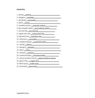 Equine Nutrition and Health Word Scramble - Amped Up Learning