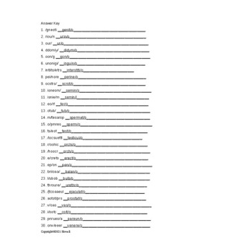 The Male Reproductive System Combining Forms Word Scramble - Amped Up ...
