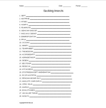 Sucking Insects Word Scramble for a Plant Science Course - Amped Up ...