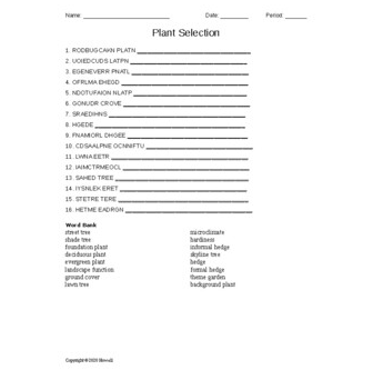 Plant Selection Word Scramble for a Plant Science Course - Amped Up ...
