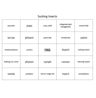 "Sucking Insects" Bingo set for a Plant Science Course - Amped Up Learning