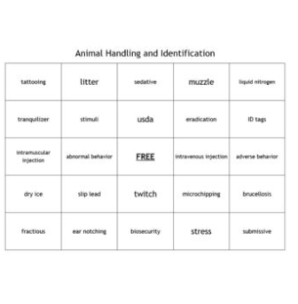 "Animal Handling and Identification" Bingo set for a Veterinary Science ...