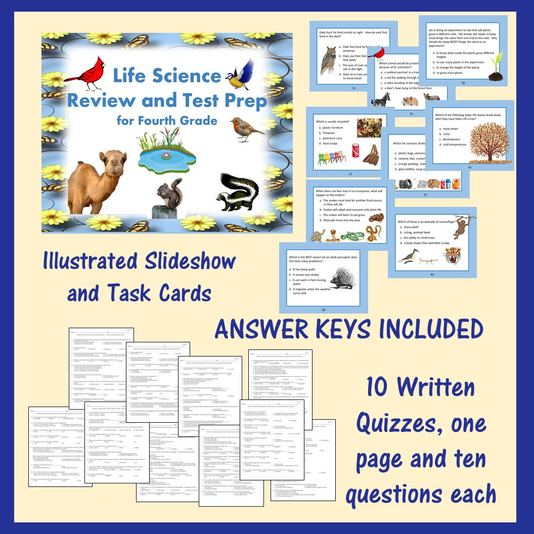 Life Science Review and Test Prep, grade 4 - Amped Up Learning
