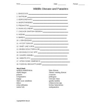 Wildlife Disease and Parasites Word Scramble - Amped Up Learning