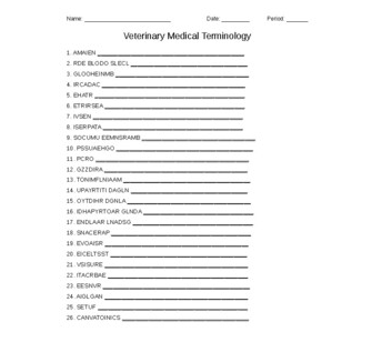 Veterinary Medical Terminology Word Scramble for Vet. Science Students ...