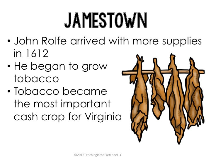 American Colonization Bundle - Amped Up Learning