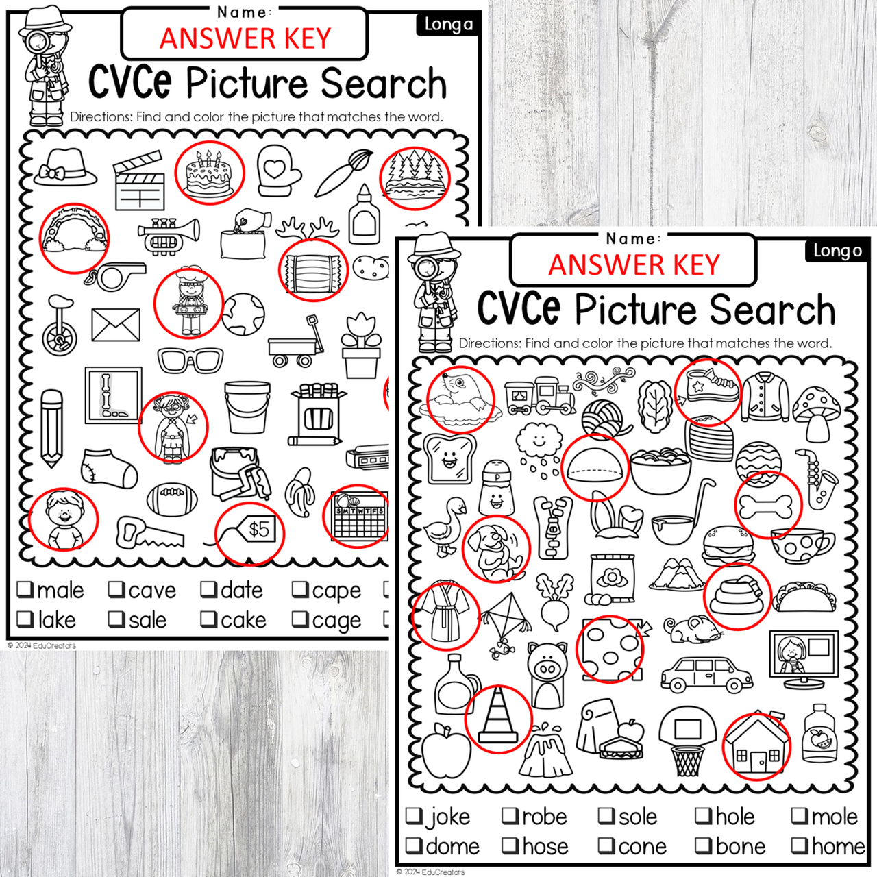 CVCe Long Vowels Phonics Picture Search I Spy Read and Find Worksheet ...