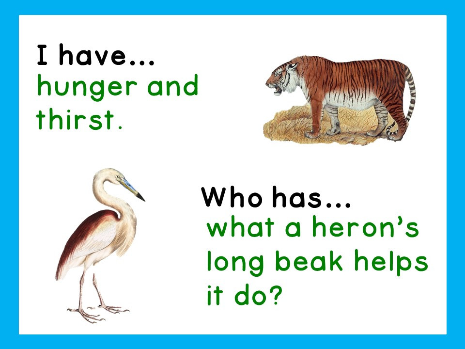 Physical and Behavioral Adaptations for Survival I Have Who Has - Amped ...