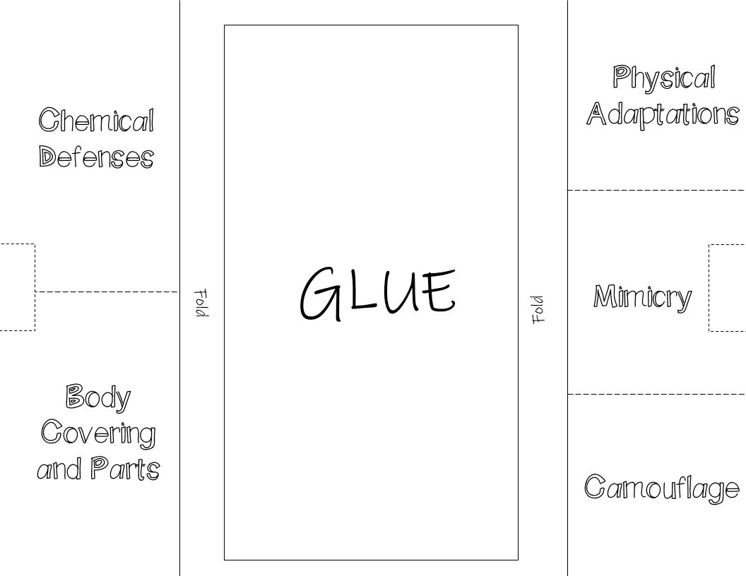 Physical Adaptations In Animals - Interactive Notebook / Foldable ...