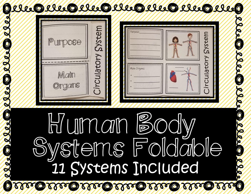 Human Body Systems - Interactive Notebook / Foldable - Amped Up Learning