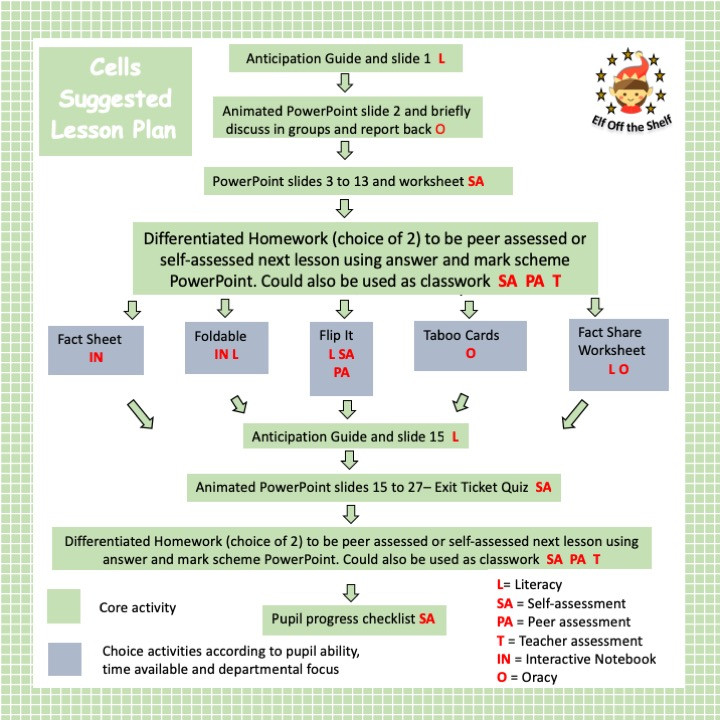 Plant and Animal Cells - Structure, Differences and Specialisation ...