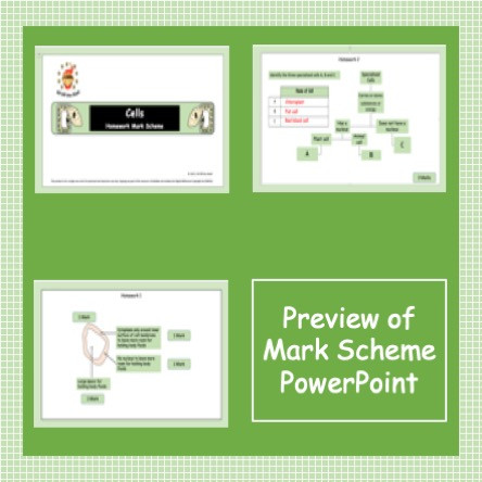 Plant and Animal Cells - Structure, Differences and Specialisation ...