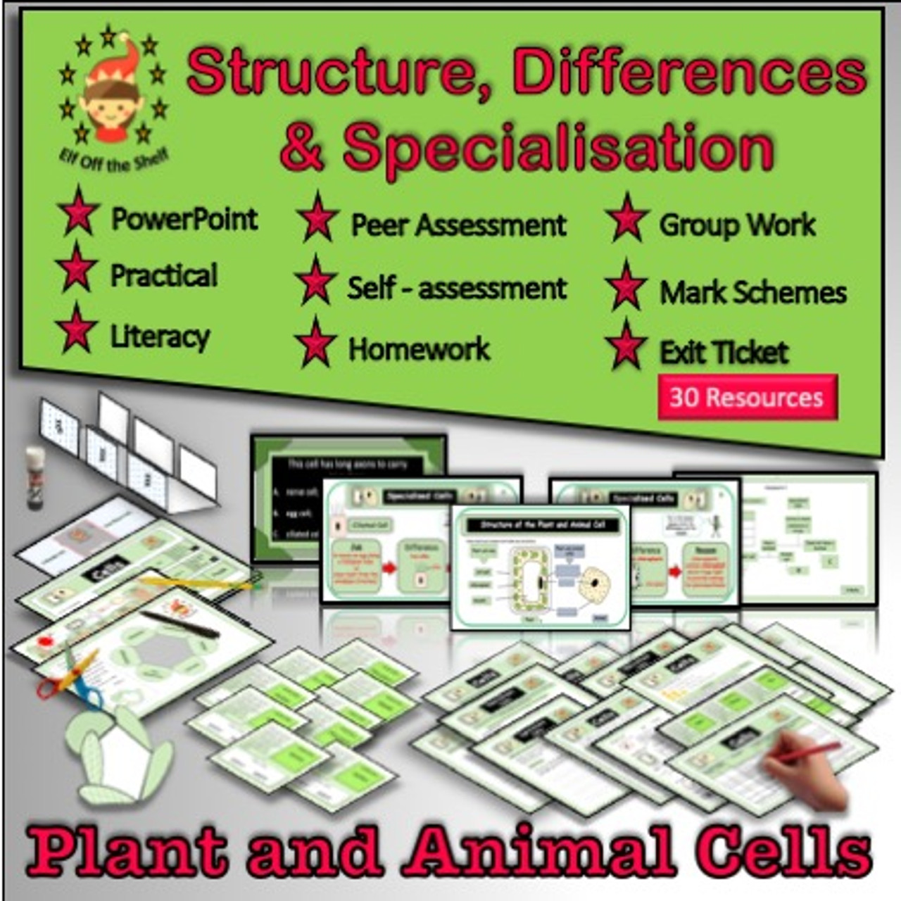 Plant and Animal Cells - Structure, Differences and Specialisation ...