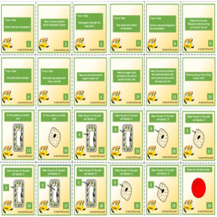 Plant and Animal Cells - Structure, Difference and Specialisation Board ...