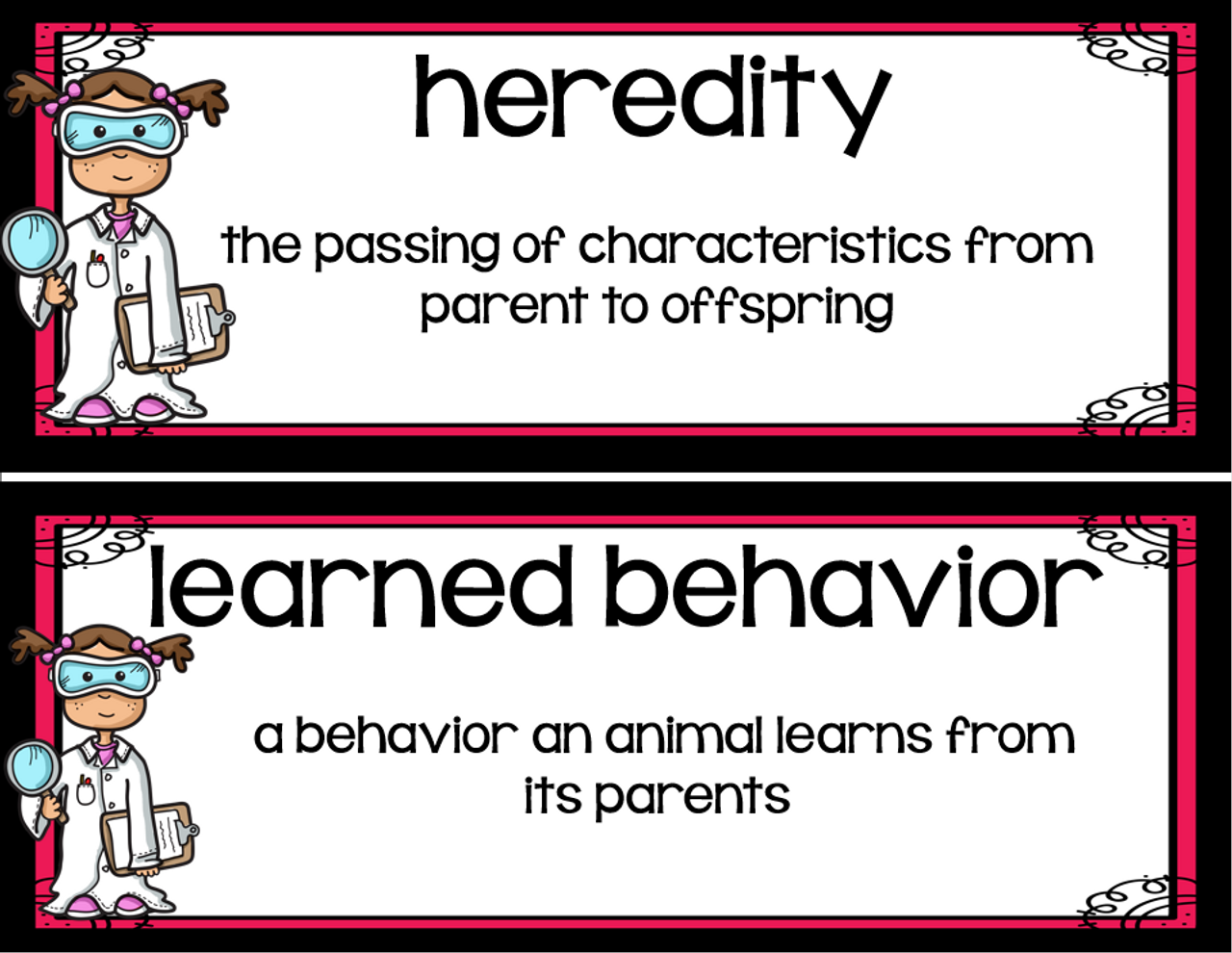 4th Gr Texas TEKS Science Vocabulary Word Wall - Amped Up Learning