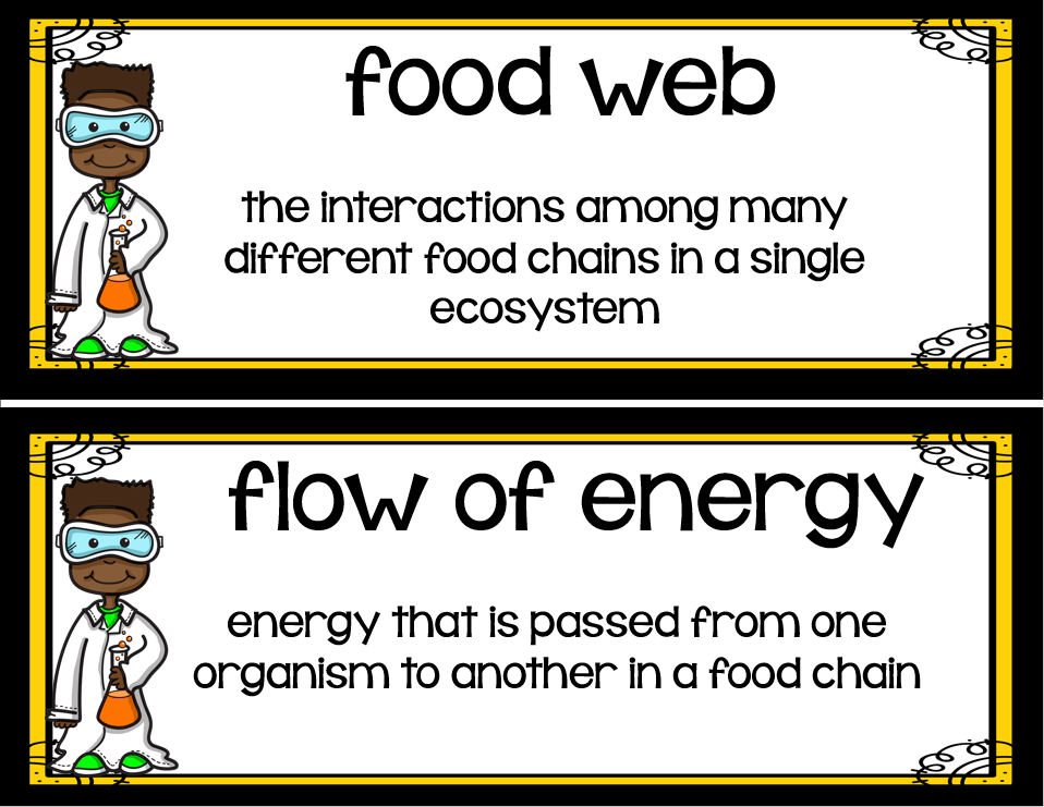 5th Gr Texas STAAR Science Academic Vocabulary Word Wall - Amped Up ...