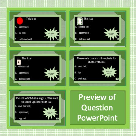 Specialized Cells - Review Activity - Amped Up Learning